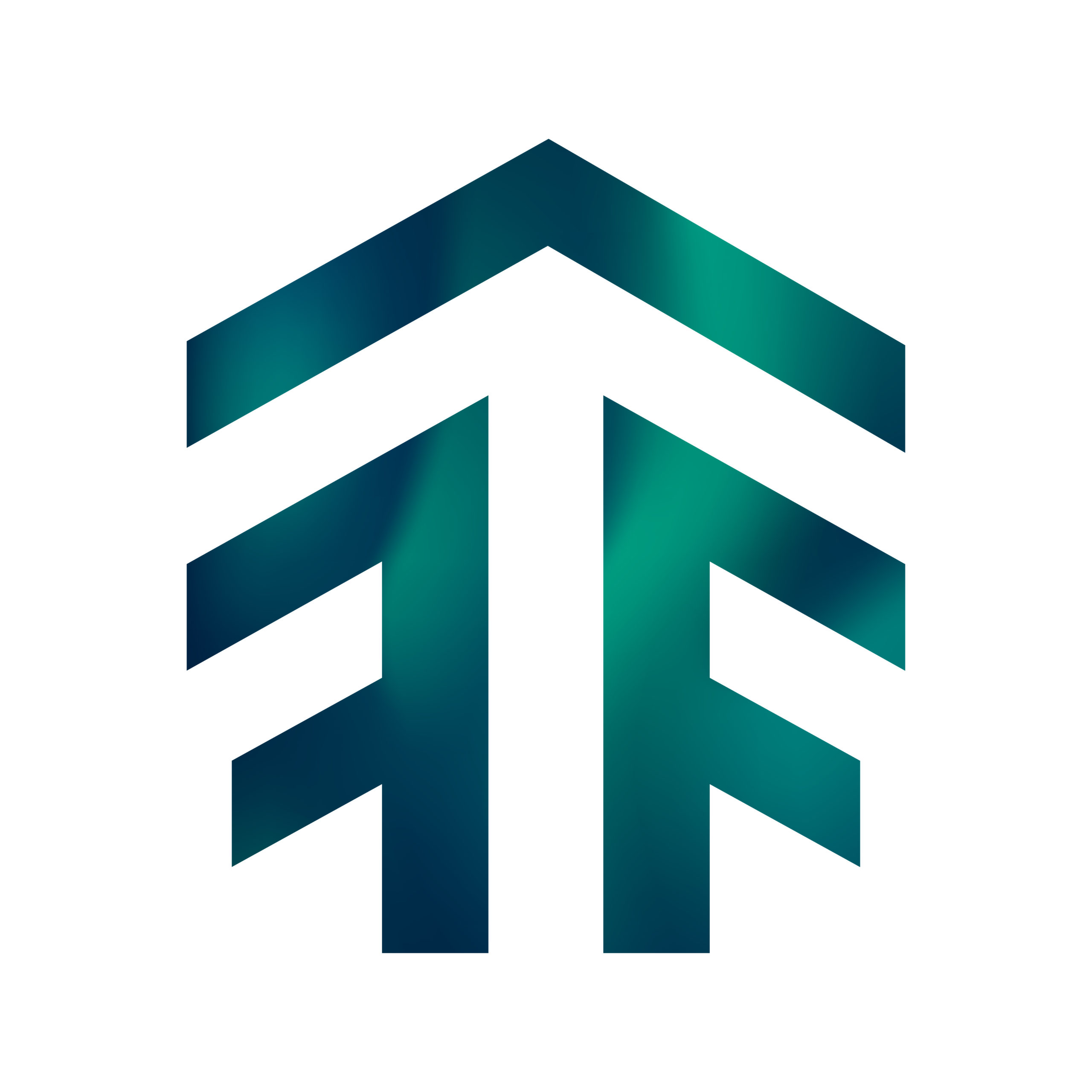 Team In Training Logo